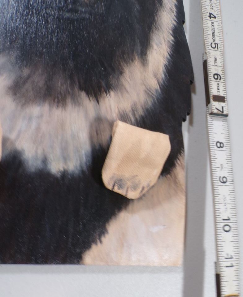 Keeshond Pet Dog Artist DOTY Original Hand Painted Cutout Chair Sitter ...