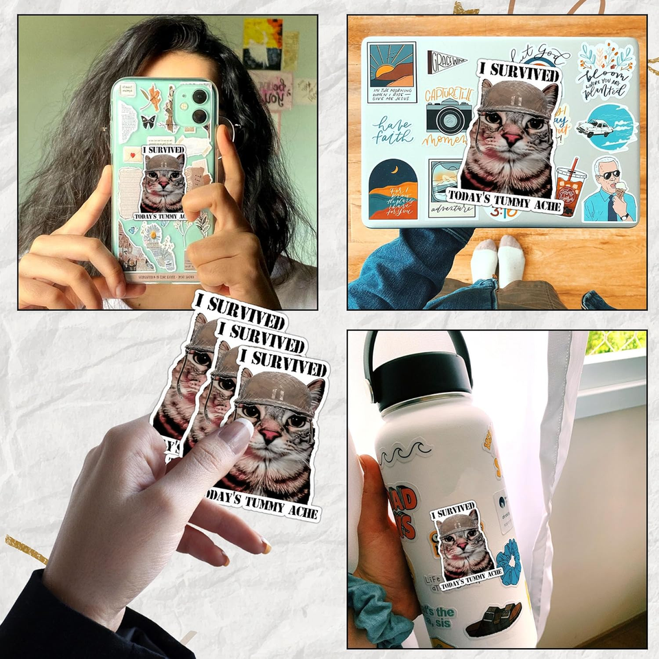 Pack 3 PCS 3" - I Survived Today’S Tummy Ache Cat Meme Sticker Funny ...