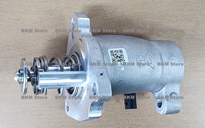 Genuine 255003L200 Thermostat Assy for Genesis G90, G80, G70, Kia K900 ...