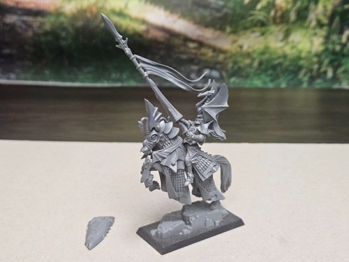 1 High Elf Lord on Elven Steed High Elf Warhammer Fantasy The Old World ...