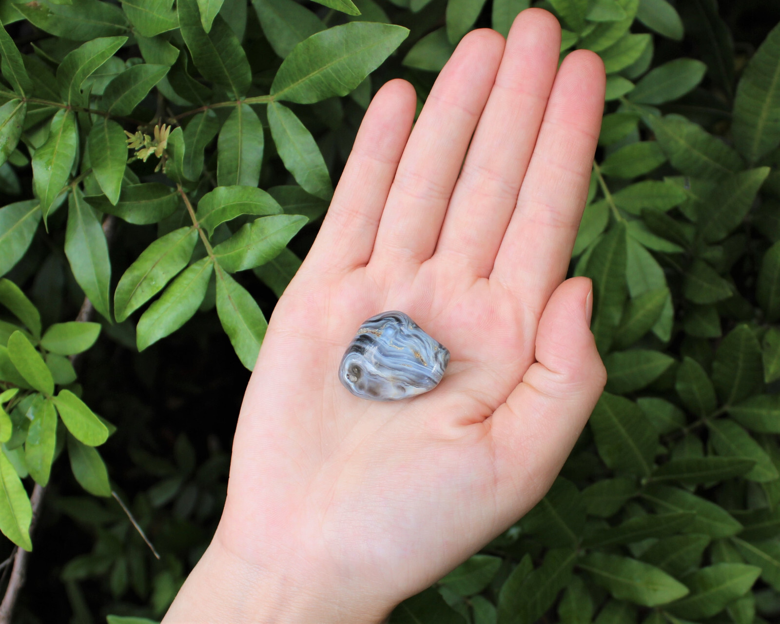 Oco Agate Tumbled Stone: Choose How Many Pieces (Tumbled Oco Agate ...