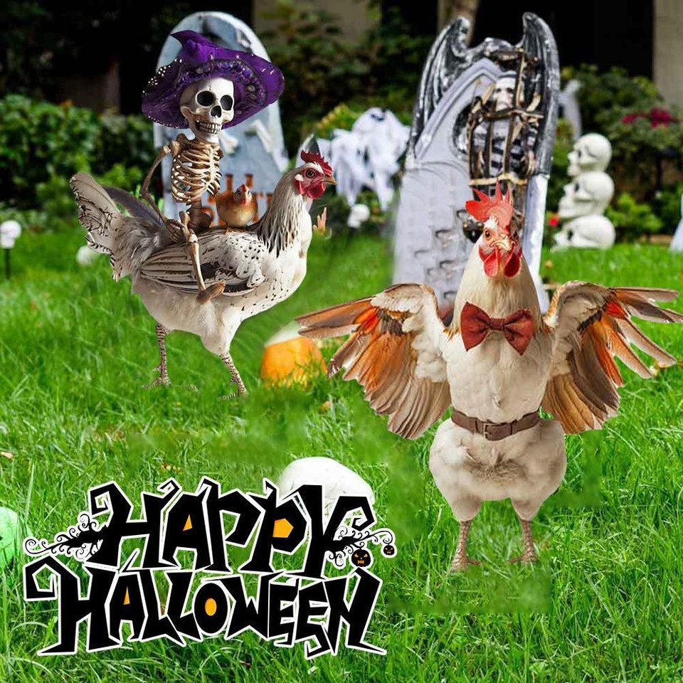 Chicken Skeleton Halloween Rooster Flap Wing Halloween Decor 2D Metal ...