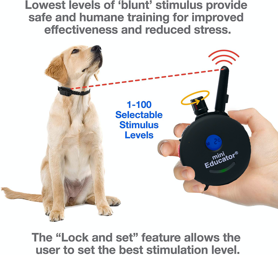 E-Collar Mini Educator ET-300 or ET-302 TRANSMITTER ONLY -6 Colors FREE ...