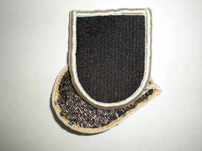US ARMY 5TH SPECIAL FORCES GROUP BERET FLASH | eBay
