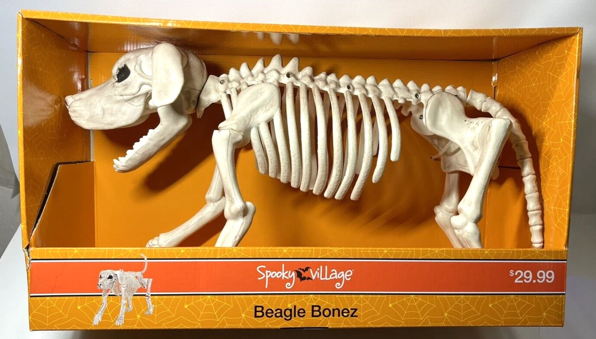 Dog Skeleton Halloween