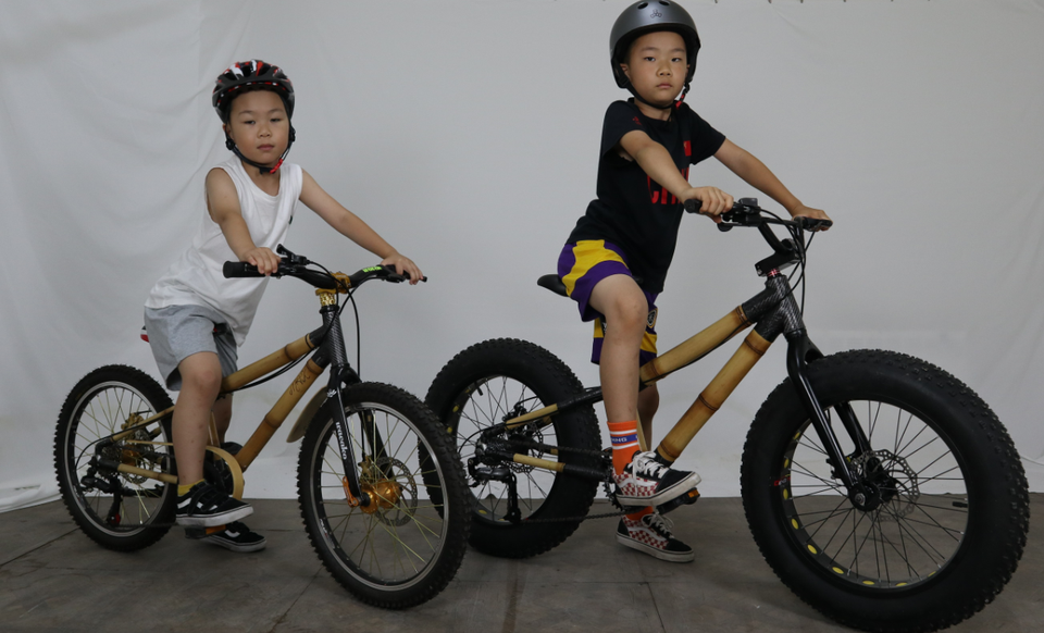 Custom Bamboo Fat Tire Bike Frame build Kit – 20", 24" & 26" Sizes | eBay