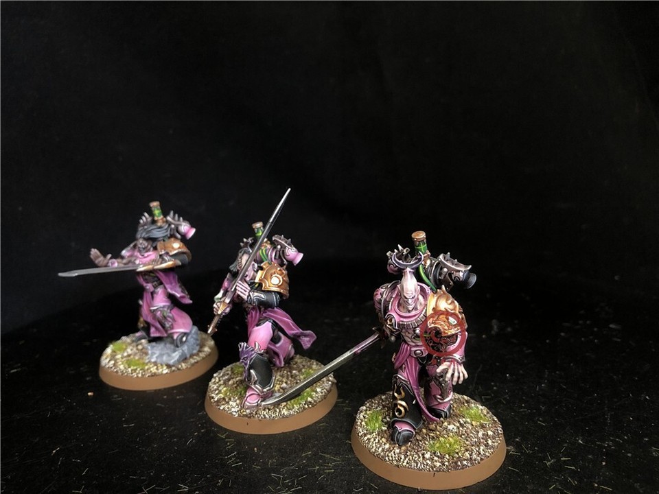 Warhammer 40K DPS painted Emperor's Children Flawless Blades SK5581 | eBay