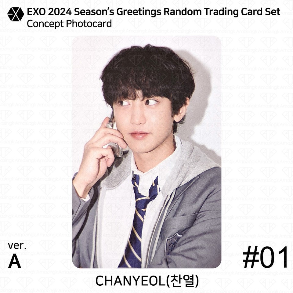 EXO 2024 Season's Greetings Random Trading Card Set Concept Selfie ...