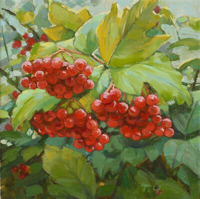 Viburnum berries Artwork Original oil painting on canvas 10x10 in Art ...