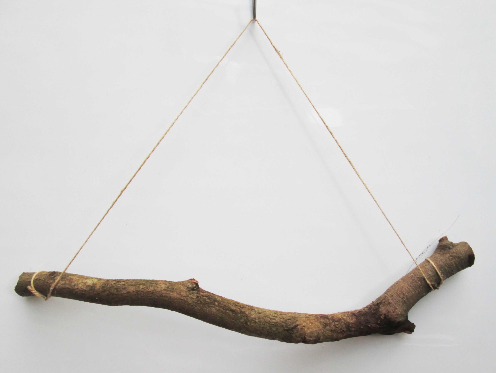 60cm 2ft Thick GNARLY Knotty Twisted Beech or Oak Natural Tree Branch ...