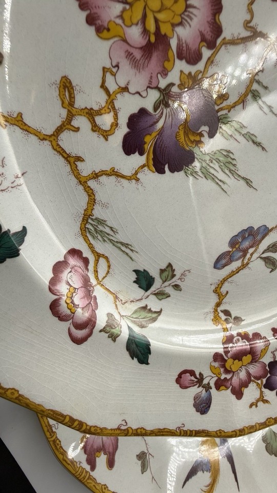 Wedgwood Georgetown Devon Rose 8 Dinner Plates 10” | eBay