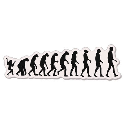 Evolution Darwin Monkey Apes car bumper sticker decal 8" x 3" | eBay