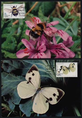 Portugal - Azores 345-8 on Maxi Cards - Insects, Bee, Butterfly, Beetle ...