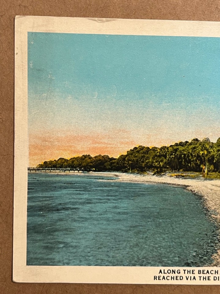 Sarasota Florida Dixie Flyer Train Advertisement Vintage Postcard c1920 ...