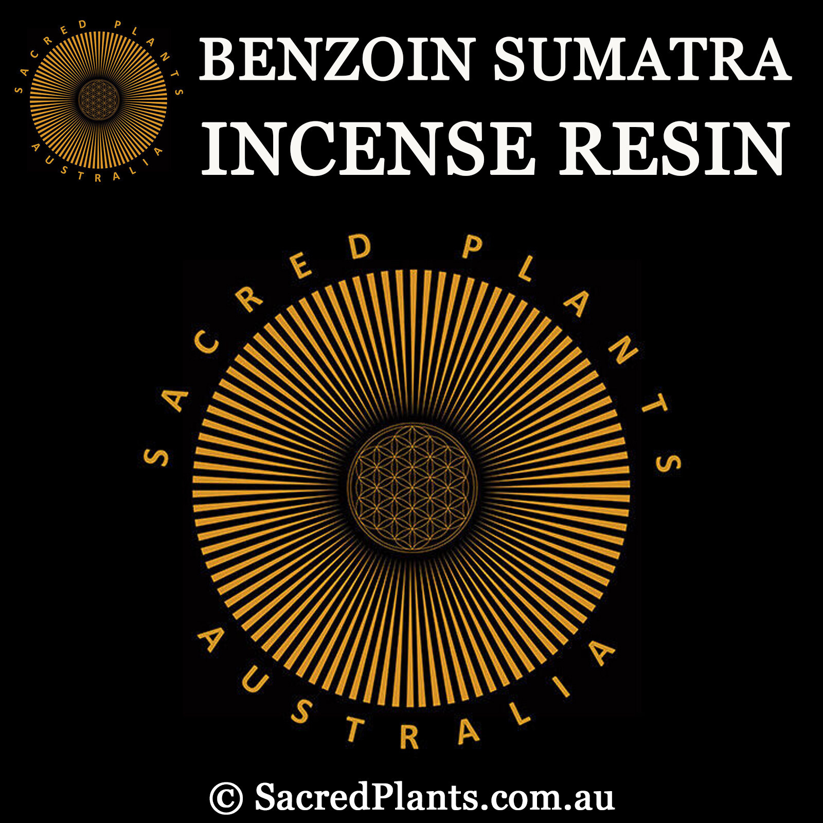 BENZOIN SUMATRA Resin 50g Styrax Benzoin Incense Shaman Medicinal ...