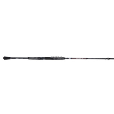 Conventional Rods - Surf Casting