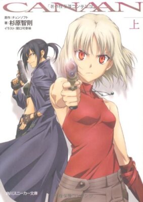 TV Animation novel: Canaan vol.1 Type-moon Book Kadokawa Bunko | eBay