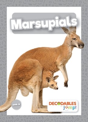 Marsupials by Madeline Tyler (English) Paperback Book | eBay