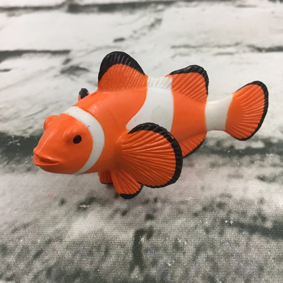 Black And Orange Clown Fish