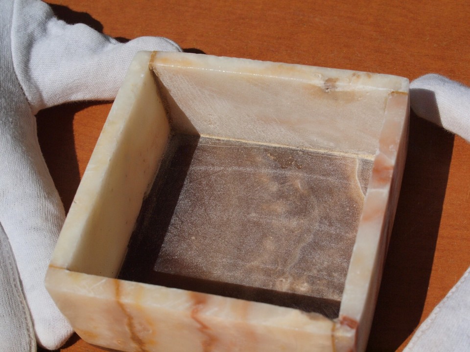 Display Box with 400 Million Years ORTHOCERAS and Ammonite Shell ...