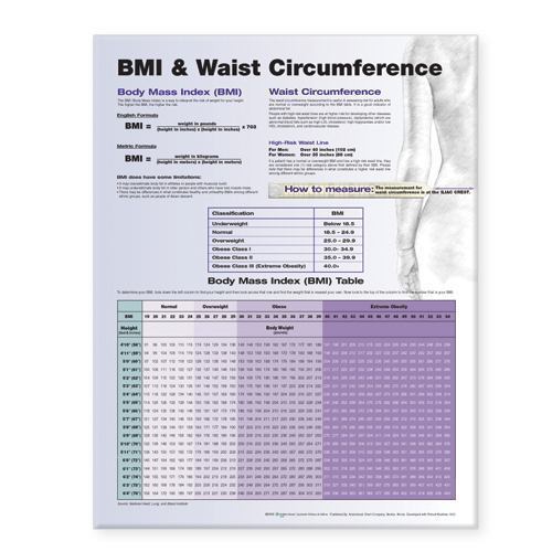 BMI and Waist Circumference Chart by Anatomical Chart Company Staff ...