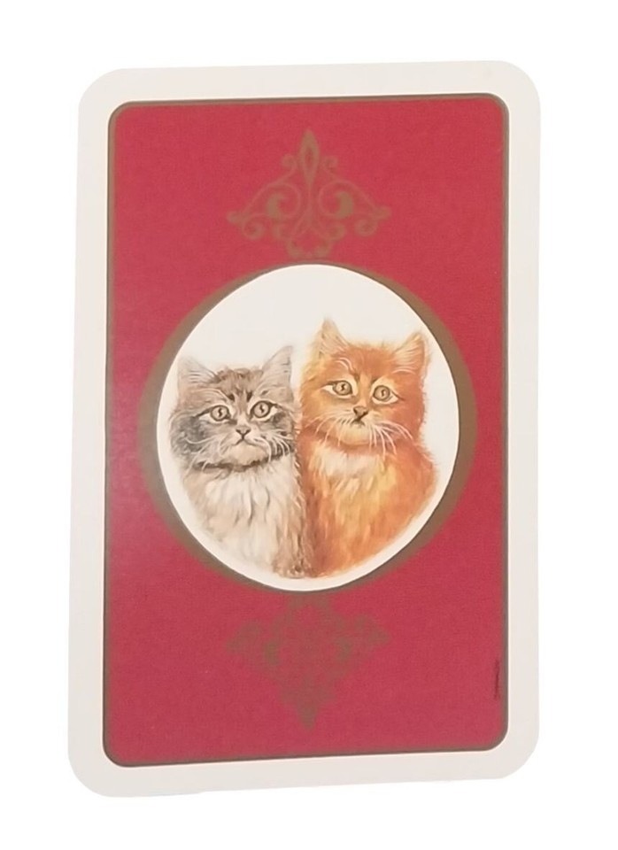 Exotic Cats Portraits Chinchilla Chartreux Manx Cards Hearts Collage ...