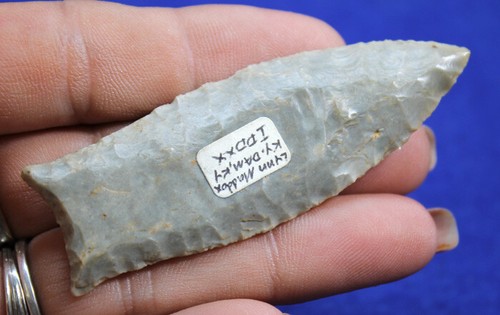 RARE Cumberland Point COA Authentic Prehistoric Arrowhead Native ...