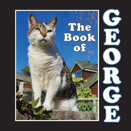 Linda Deane | The Book of George | Taschenbuch | Englisch (2023) | eBay.de