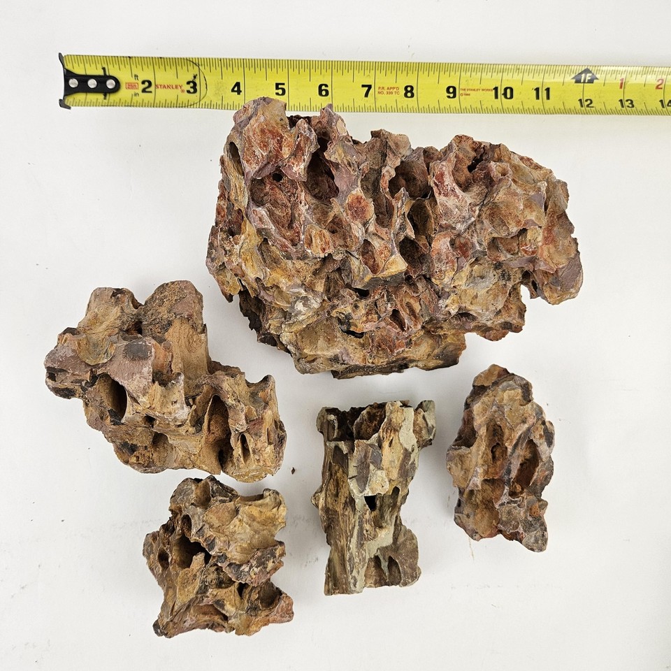 Dragon Ohko Rock. for Decoration Ponds Fish Tank Aquarium & Aquascaping ...