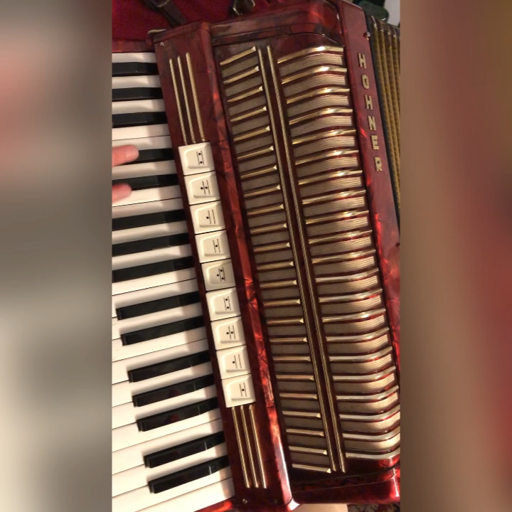 Akkordeon Hohner Verdi II rot 96 bass gold 9 Diskantregister 3 ...