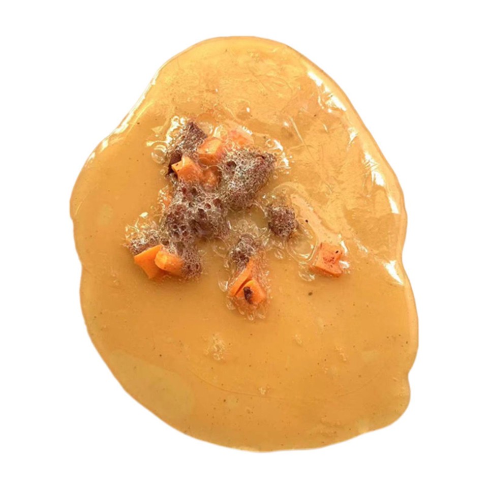 Fake Vomit Toys Lifelike Vomit Toy Props Fake Puke Toys for Bar Party ...