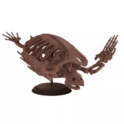 Archelon prehistoric Sea Turtle Skeleton Fossil PVC figurine figure ...