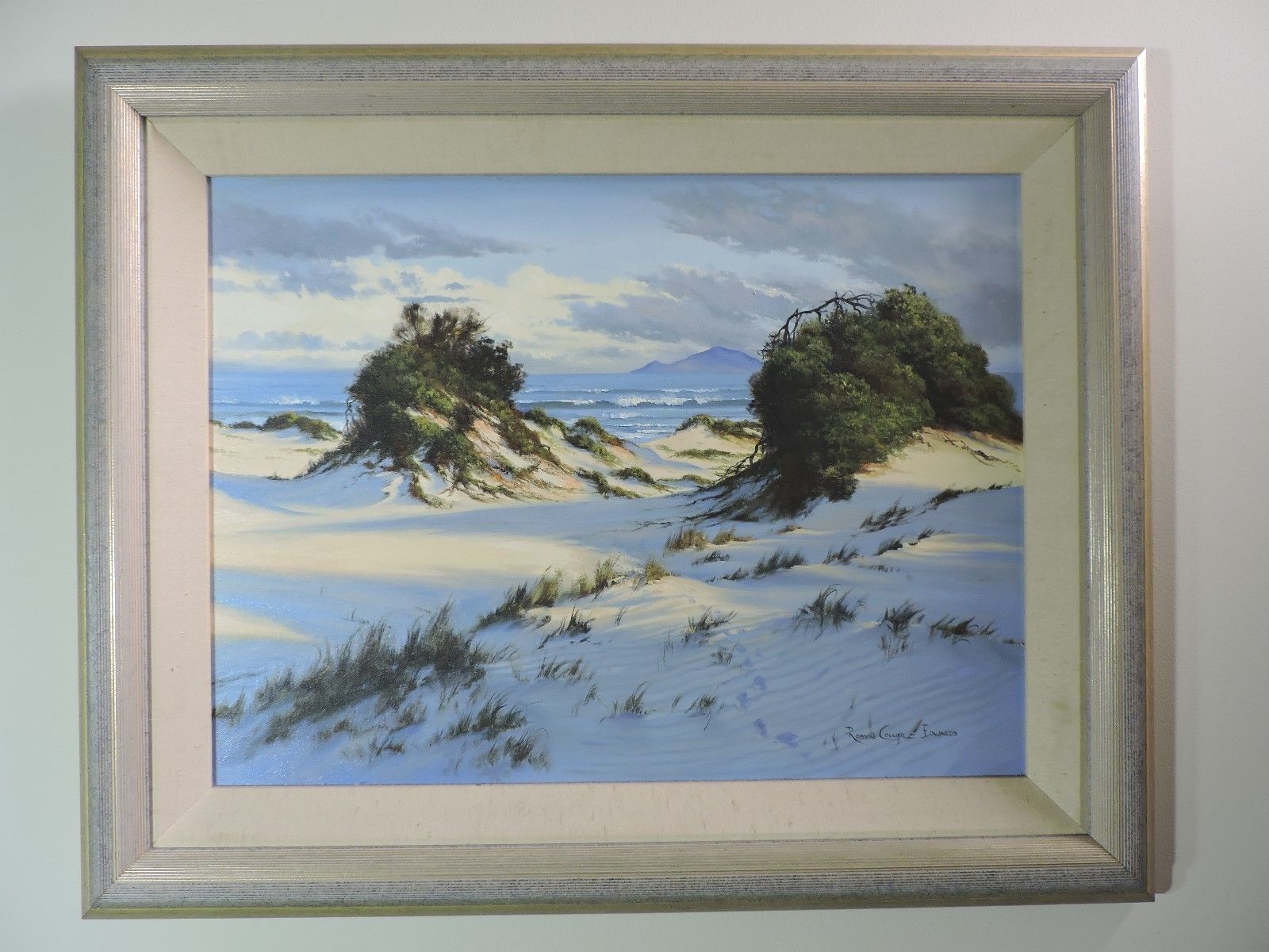 Robyn Collier large oil painting 45x60cm | eBay Australia