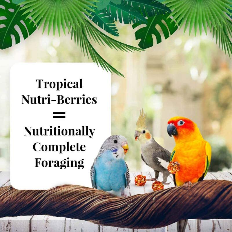 Tropical Fruit Nutri-Berries Pet Bird Food, Made with Non-GMO and Human ...
