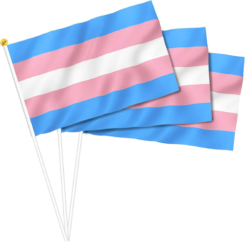 10 Pack Transgender Flag Gay Pride Stick Flags Rainbow Small Mini Flags ...