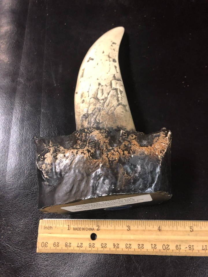 TYRANNOSAURUS TOOTH REPLICA FOSSIL T-REX DINOSAUR JURASSIC Maxilla | eBay