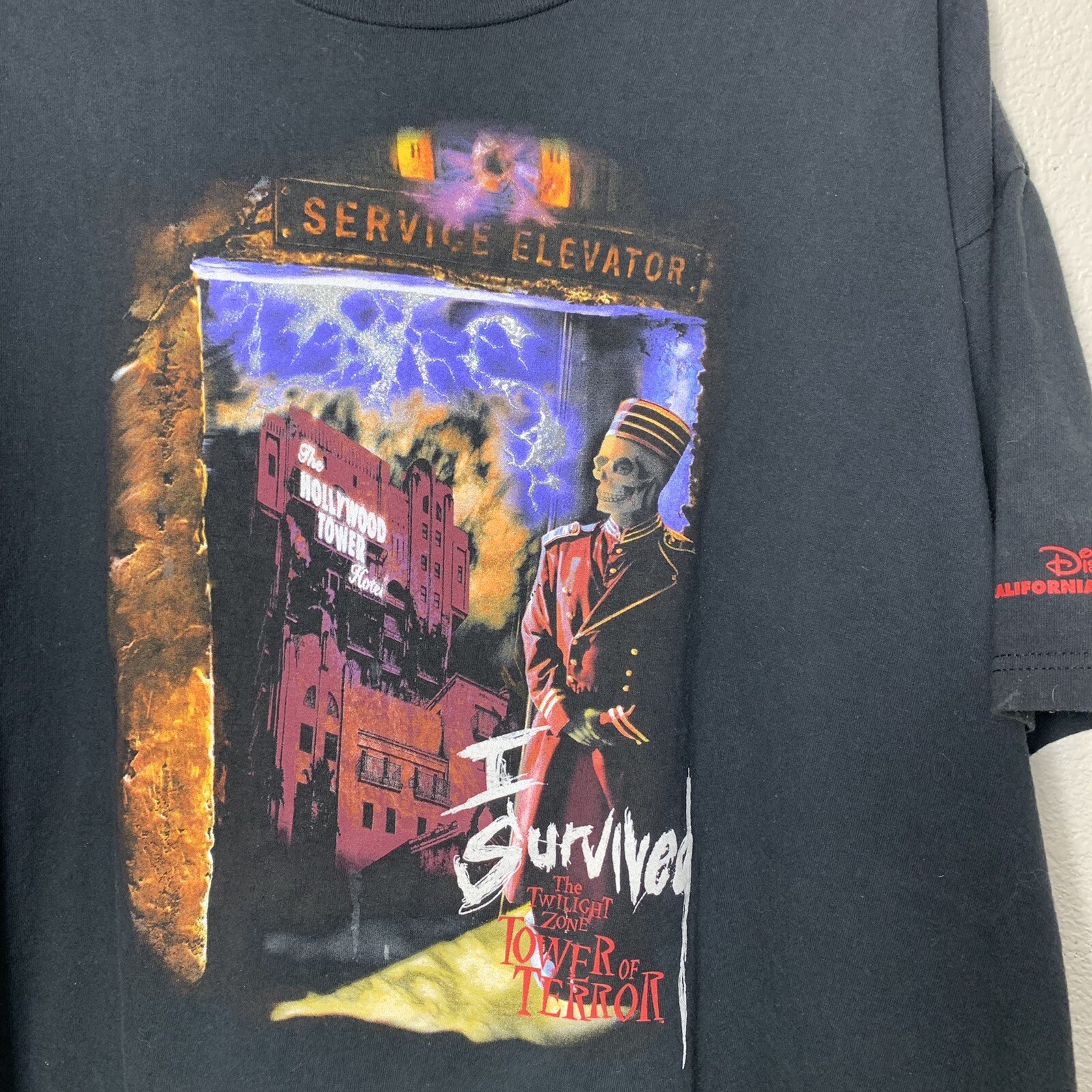 Rare Disney Twilight Zone Tower of Terror I Survived … - Gem