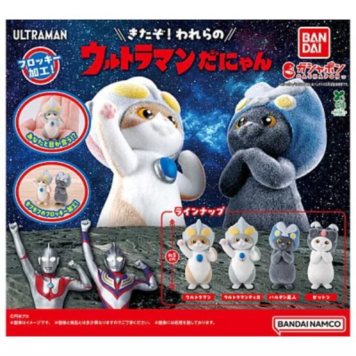 Ultraman Danyan Cat figure toys / Capsule Toy 4 Types Comp Set Gacha | eBay