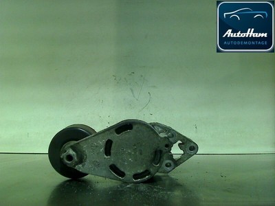 TENSIONNEUR COURROIES MULTIPLES Seat Ibiza III (6L1) 2006 045903315A | eBay