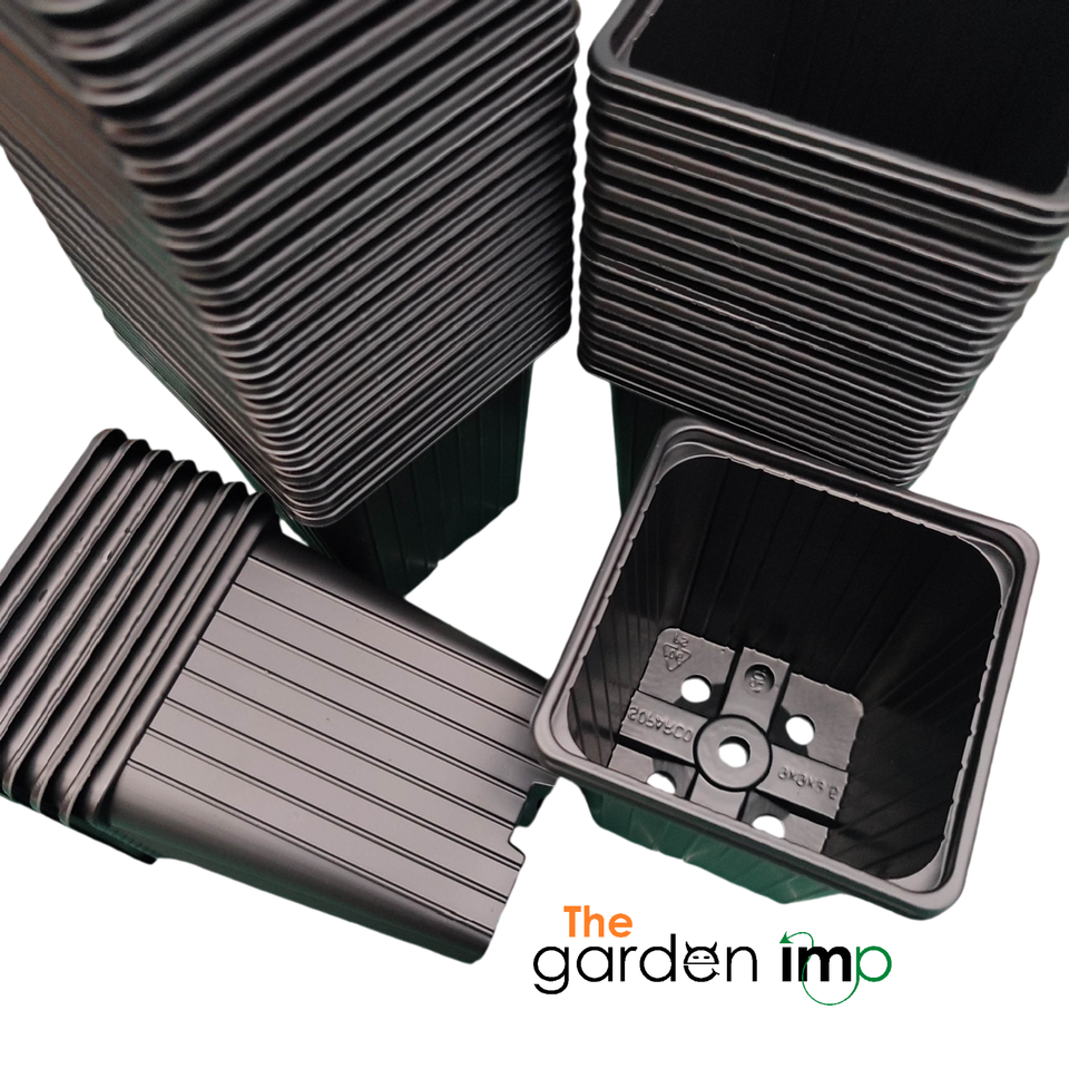 50 Square Plant Pots Deep Plastic Black Seed Liner Starter 9cm Flower ...