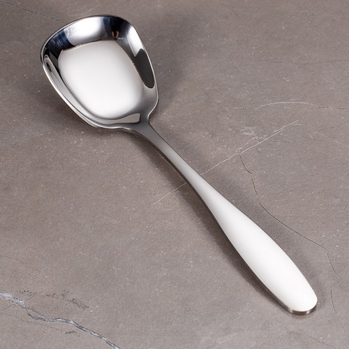 Serving Spoon Fine Craftsmanship Rust-resistant Smooth Edged Dessert ...