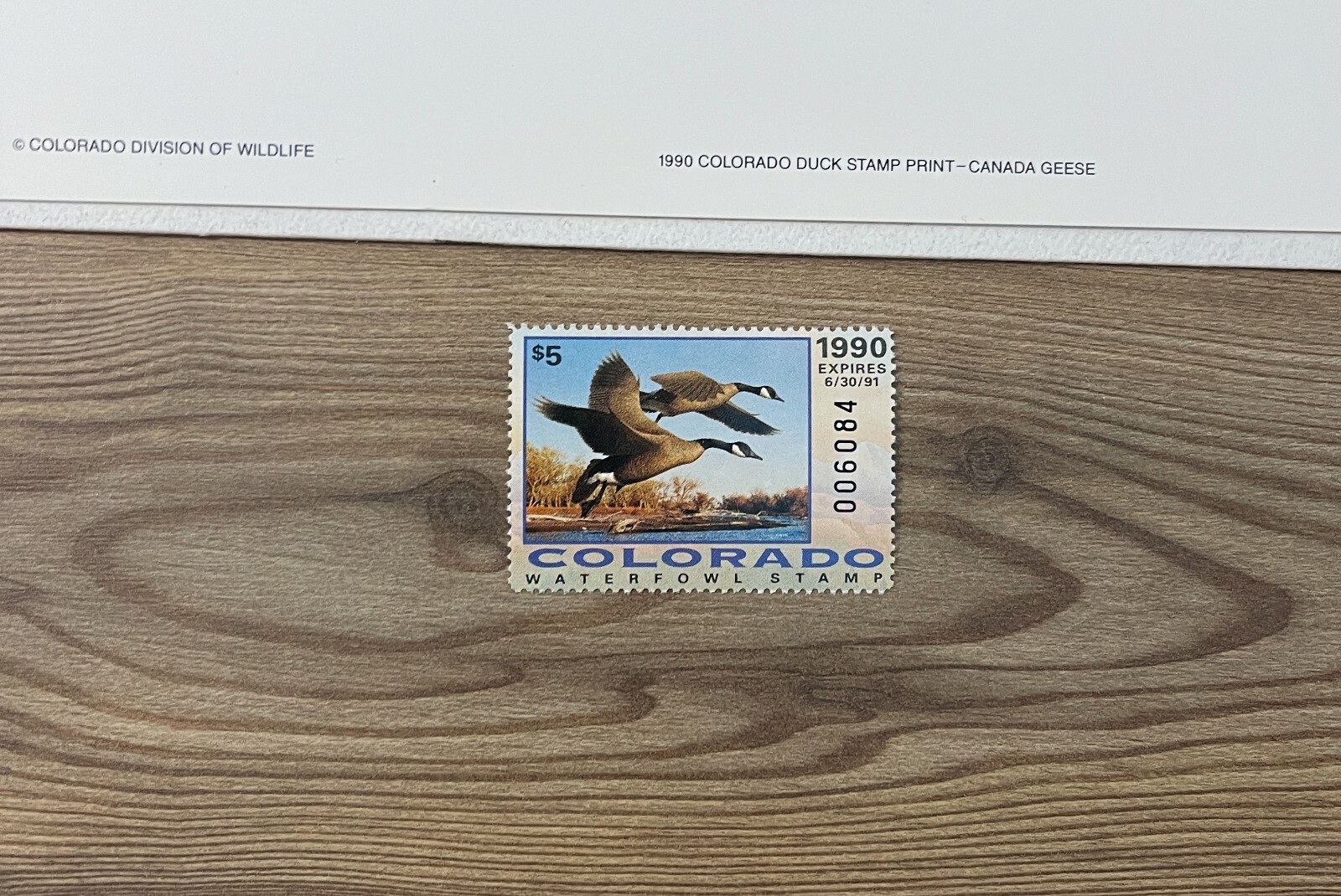 1990 COLORADO - State Duck Stamp Print **ROBERT STEINER** + STAMP! | eBay