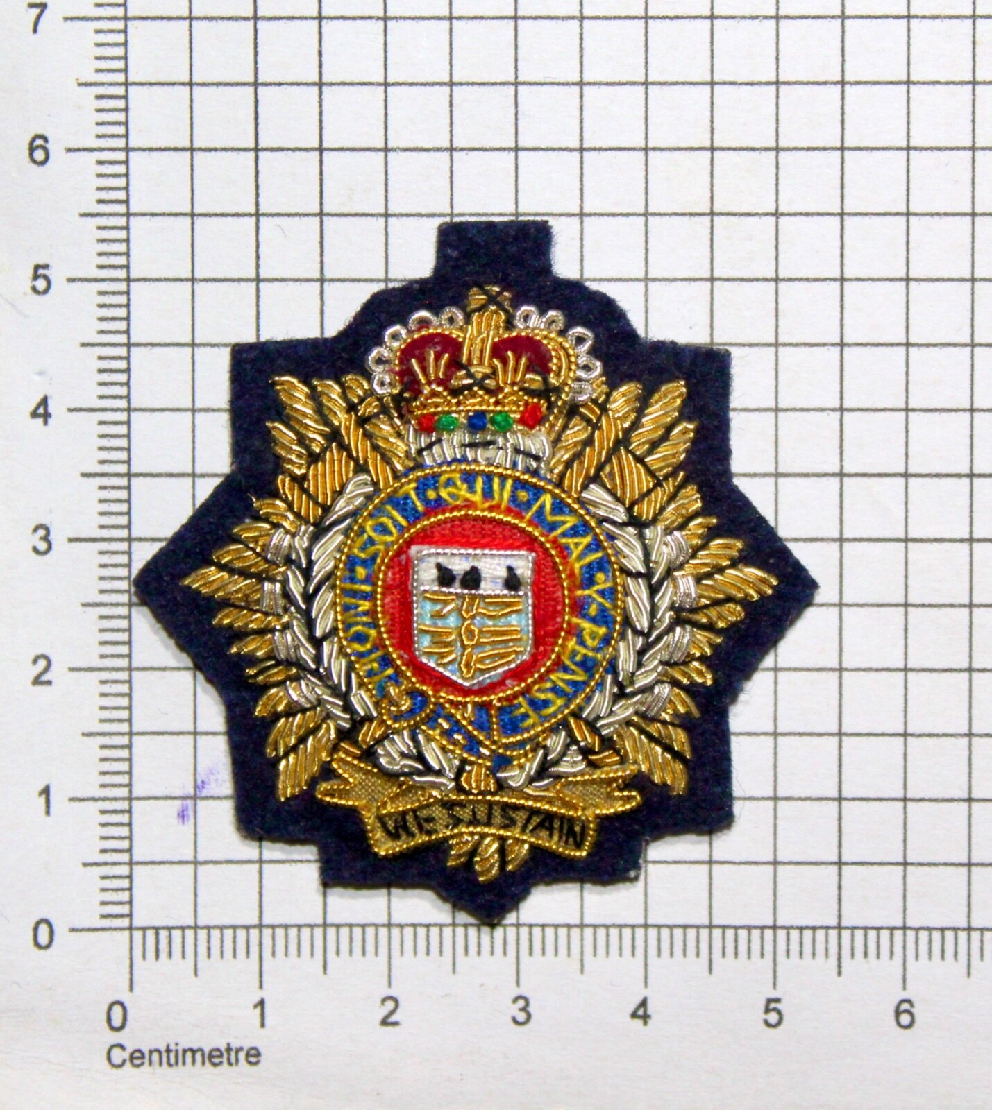 Royal Logistic Corps - RLC Bullion Embroidered Beret Badge for UK Army ...