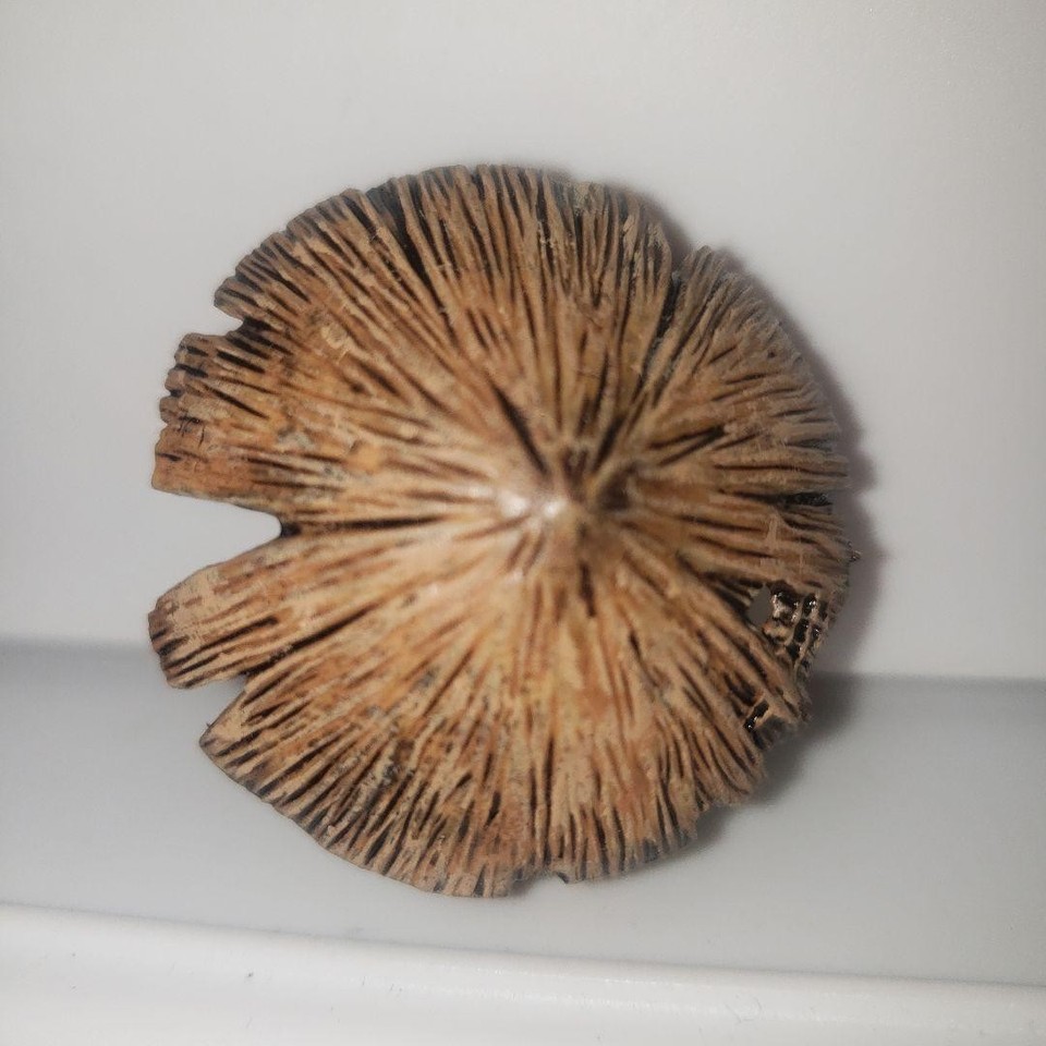 Tofu Boy Real Figure Gegege no Kitaro Retro Rare Anime Rare Horror ...