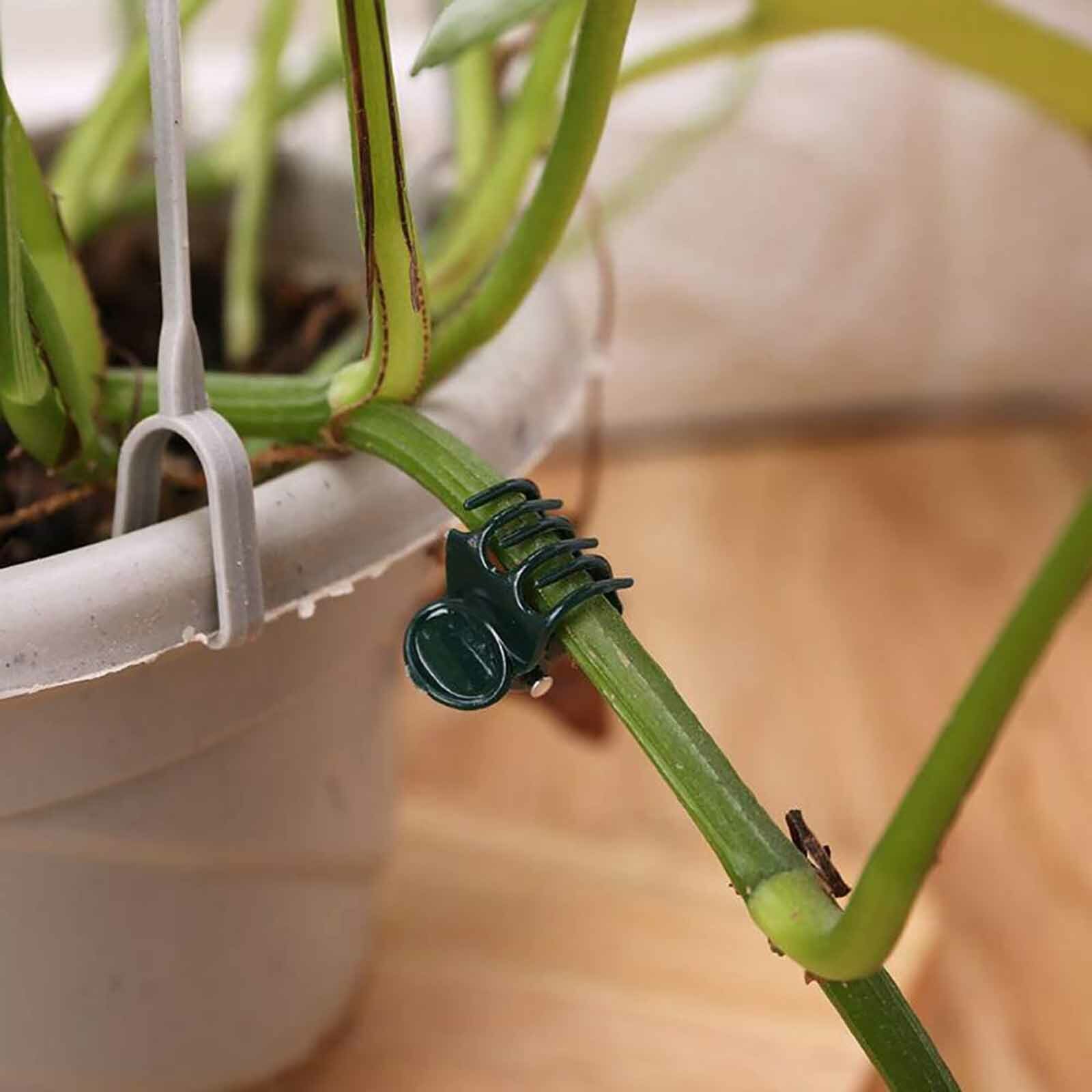 100Pcs Plastic Orchid Plant Garden Clips Vegetable Support Flower ...