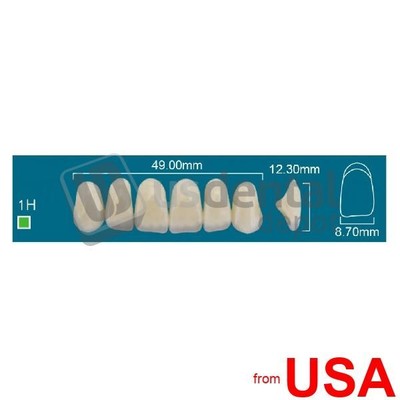 RAFAEL - 1H Upper Anterior A0 (1 X 6) - Square Rafael 2 layers Denture ...