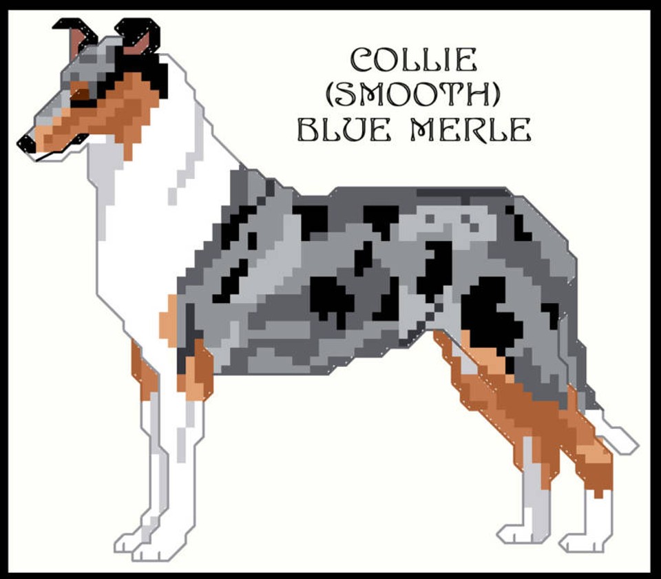 COLLIE, BEARDED & BORDER COUNTED CROSS STITCH PATTERNS | eBay