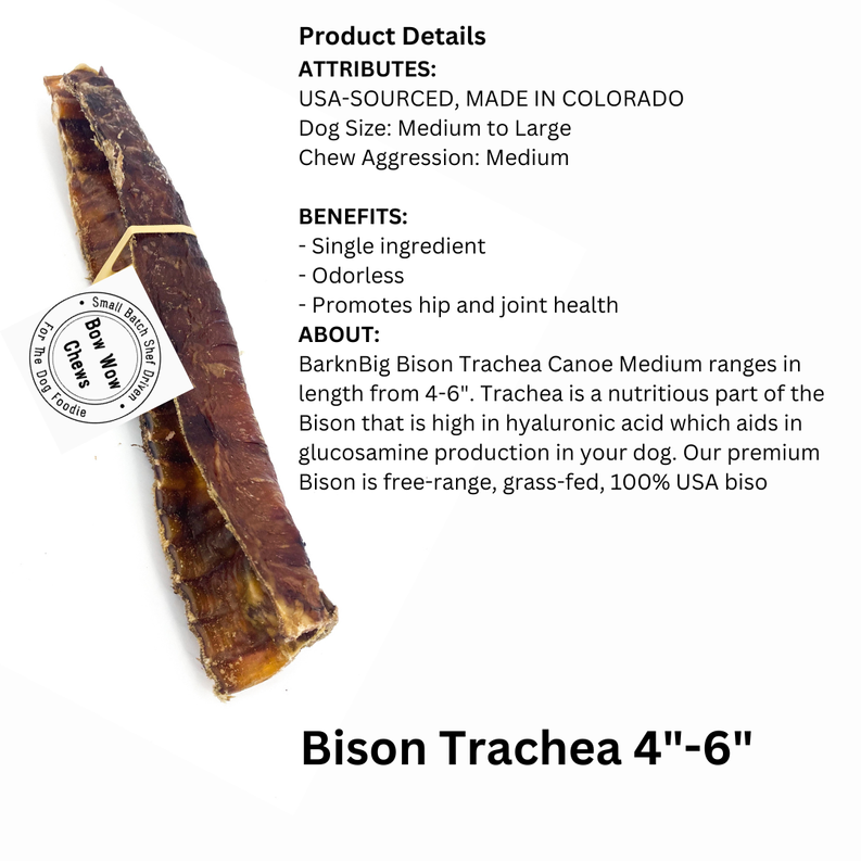 Bison Trachea Canoe | eBay