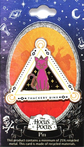 Disney HOCUS POCUS Pin Thackery Binx Triangle Frame | eBay