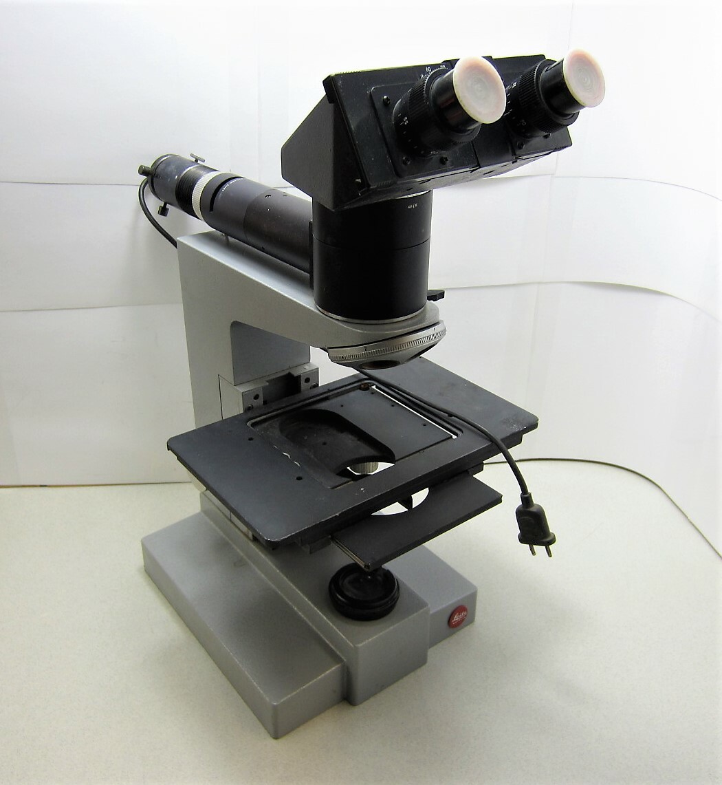 Leitz Sm-lux Microscope No Objectives Periplan 10x Eyepieces 020-441. ...